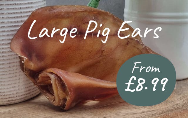 Large Inner Pig Ears | Proper Natural Treats & Chews