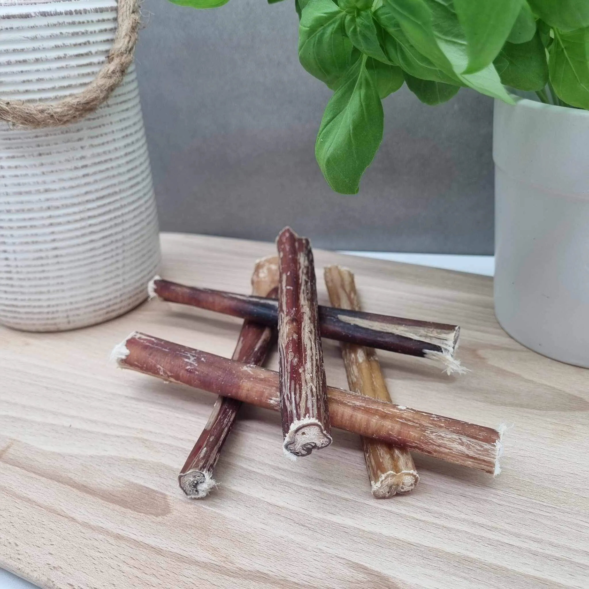 Proper Natural 15cm Thin Bulls Pizzles for Dogs | 100% Natural Bully Sticks