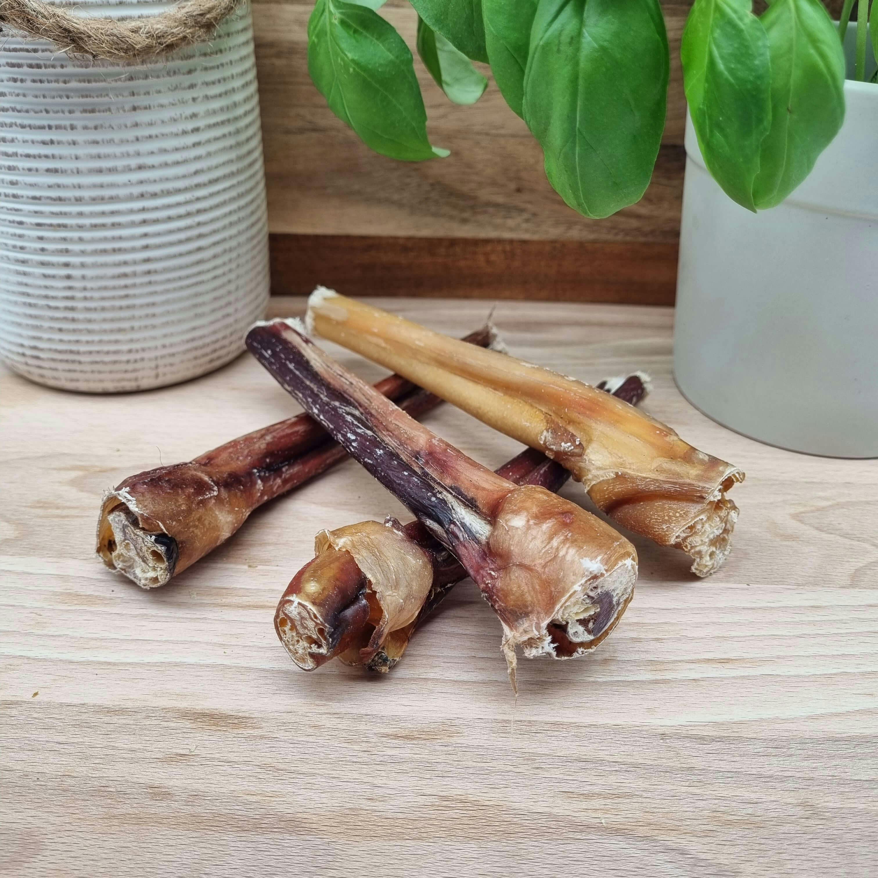 Bulls Pizzle Tips for Dogs | 100% Natural Bully Sticks