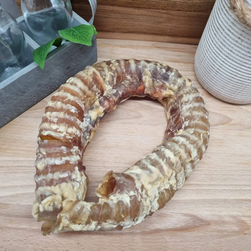 Beef Trachea Ring | Proper Natural Treats & Chews