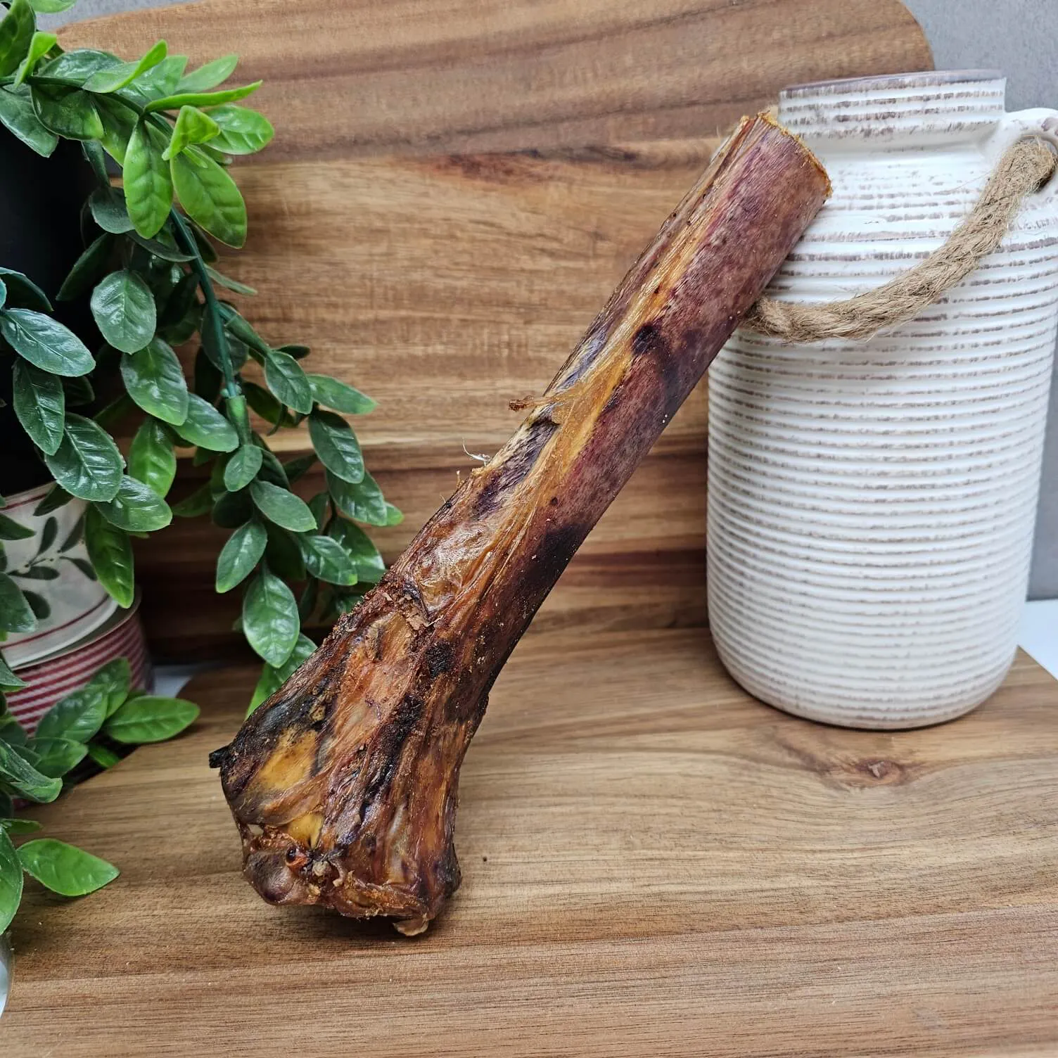 Medium Ostrich Metatarsus Bone for dogs | Proper Natural