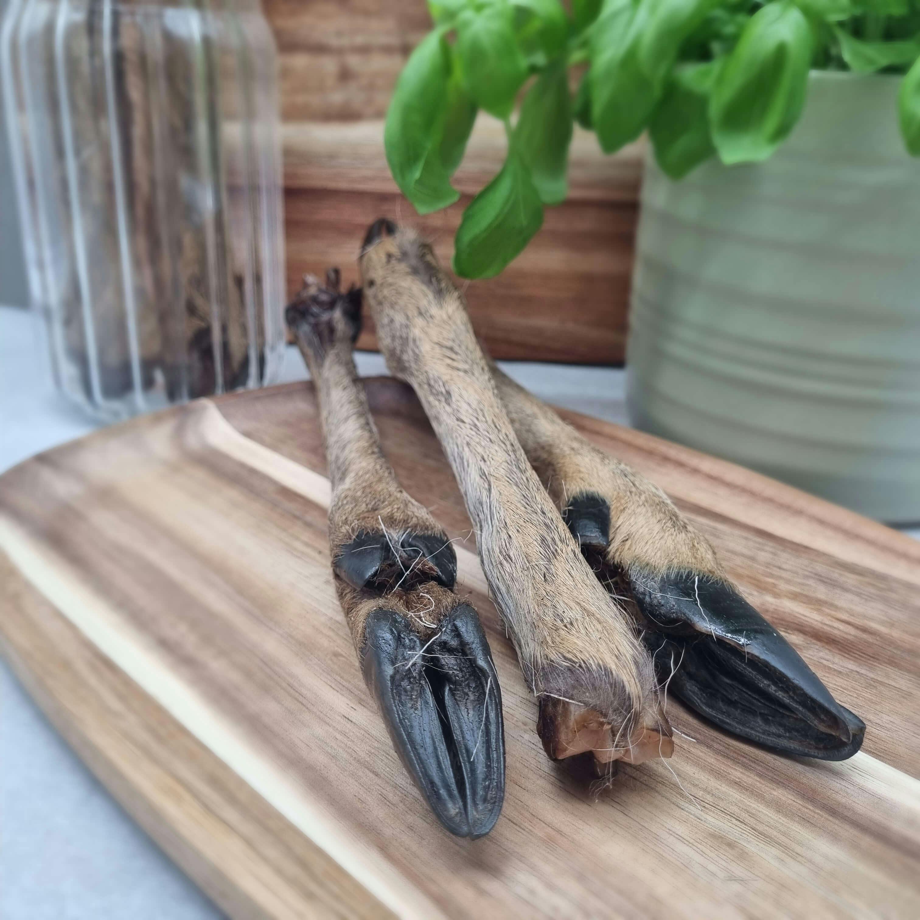 Proper Natural Hairy Roe Deer Legs 4pk ~ 100% Natural Dog Treats